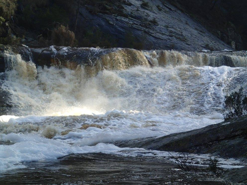 WikiRiver