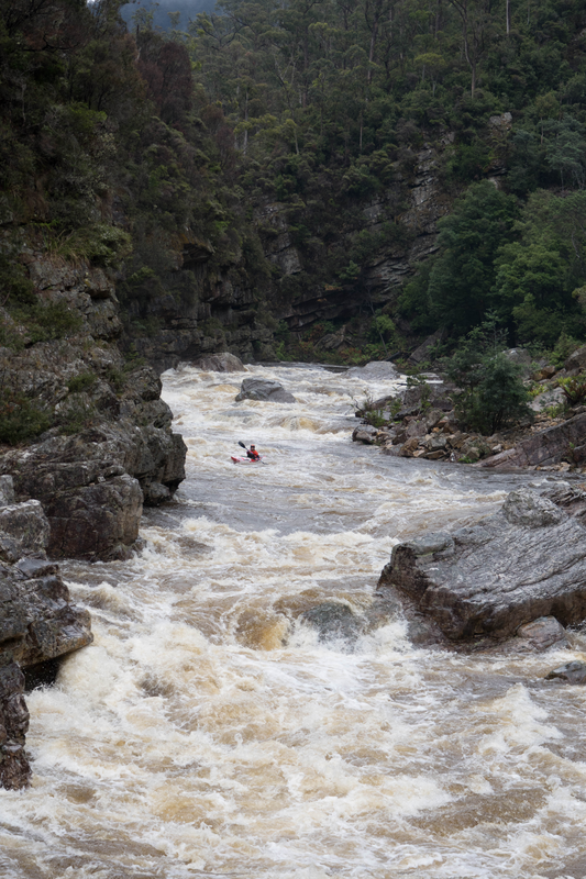 WikiRiver